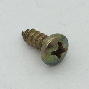 Casing Screw DIN 7981 3.9 x 9.5mm | 149756 | Butler Technik